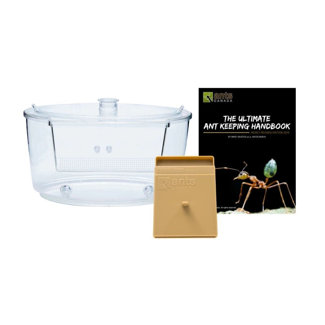 The Ultimate Ant Keeping Starter Kit – AntsCanada