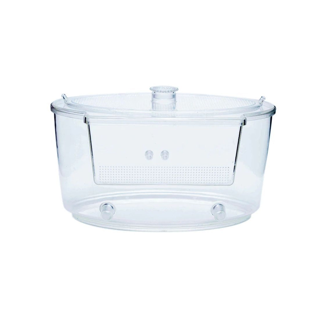 The Ultimate Ant Keeping Starter Kit – AntsCanada