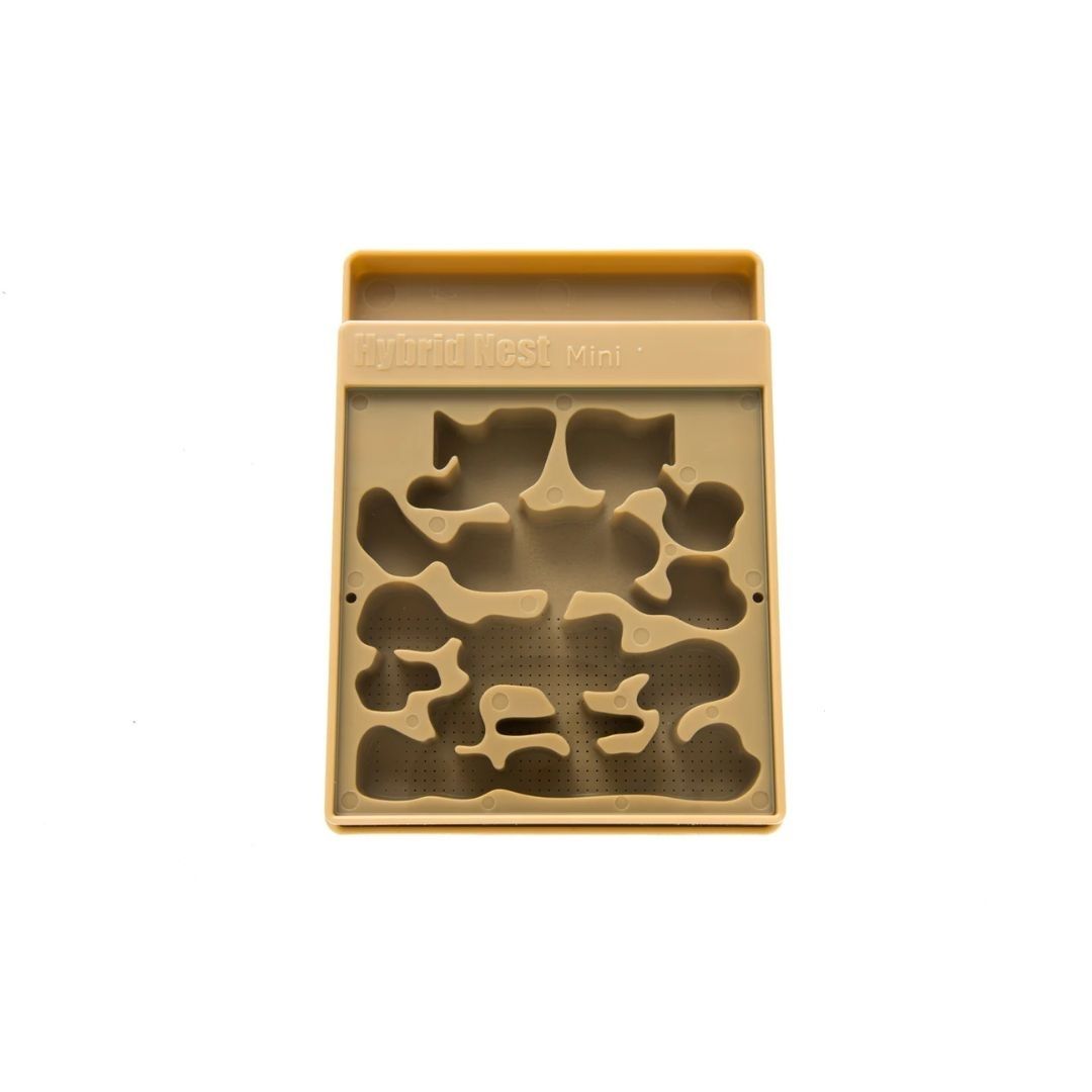 The Ultimate Ant Keeping Starter Kit – AntsCanada