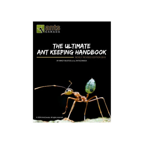 The Ultimate Ant Keeping Starter Kit – AntsCanada