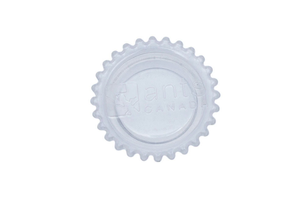 Ant Tower™ Small – AntsCanada