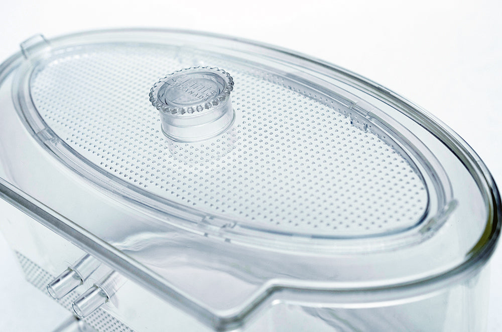 Ant Tower™ Small – AntsCanada