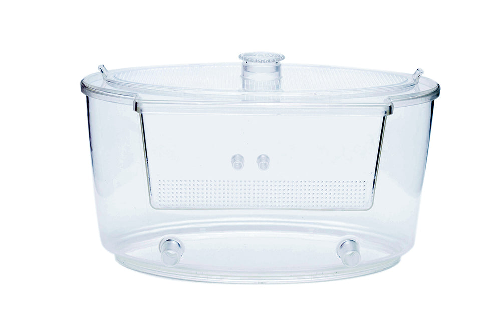 Ant Tower™ Small – AntsCanada