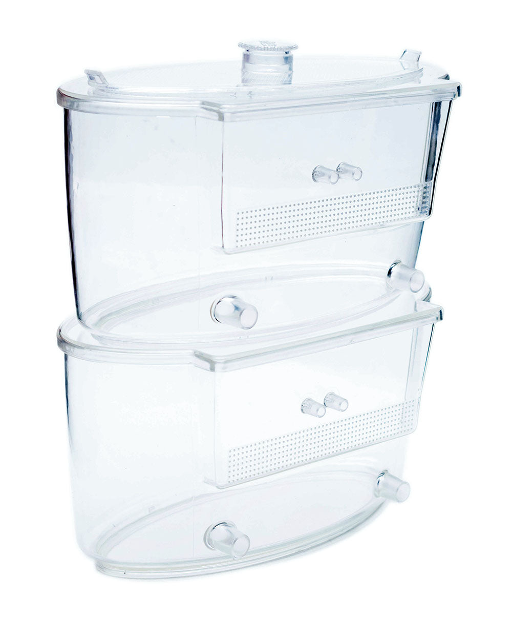 Ant Tower™ Small – AntsCanada