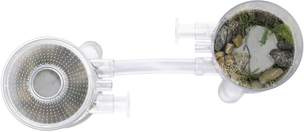 Ant Tower™ Small – AntsCanada