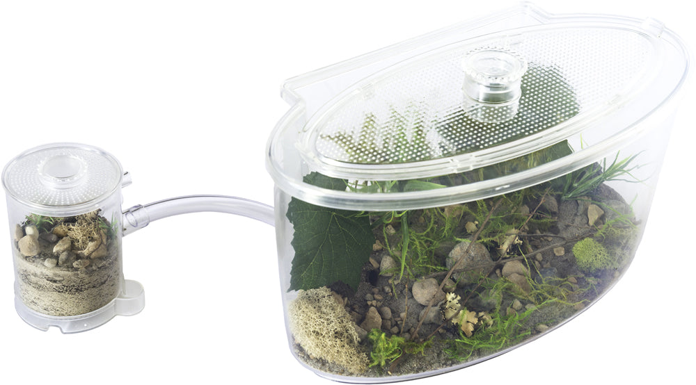 Ant Tower™ Small – AntsCanada