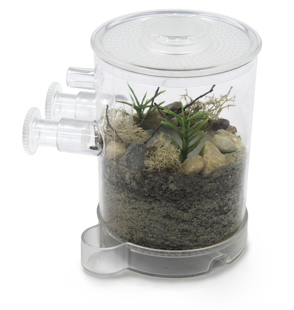 Ant Tower™ Small – AntsCanada