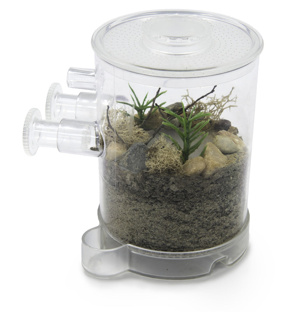 Ant Tower™ Large – AntsCanada