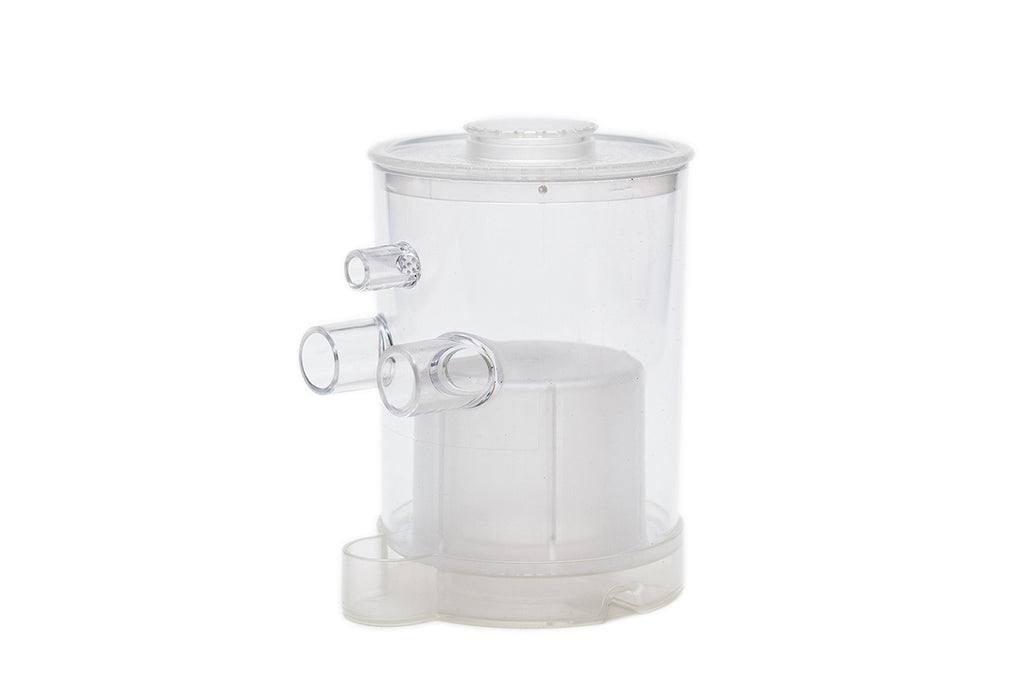 Starter Kits – AntsCanada