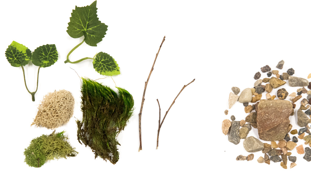 Biome Kit Mini™ – AntsCanada