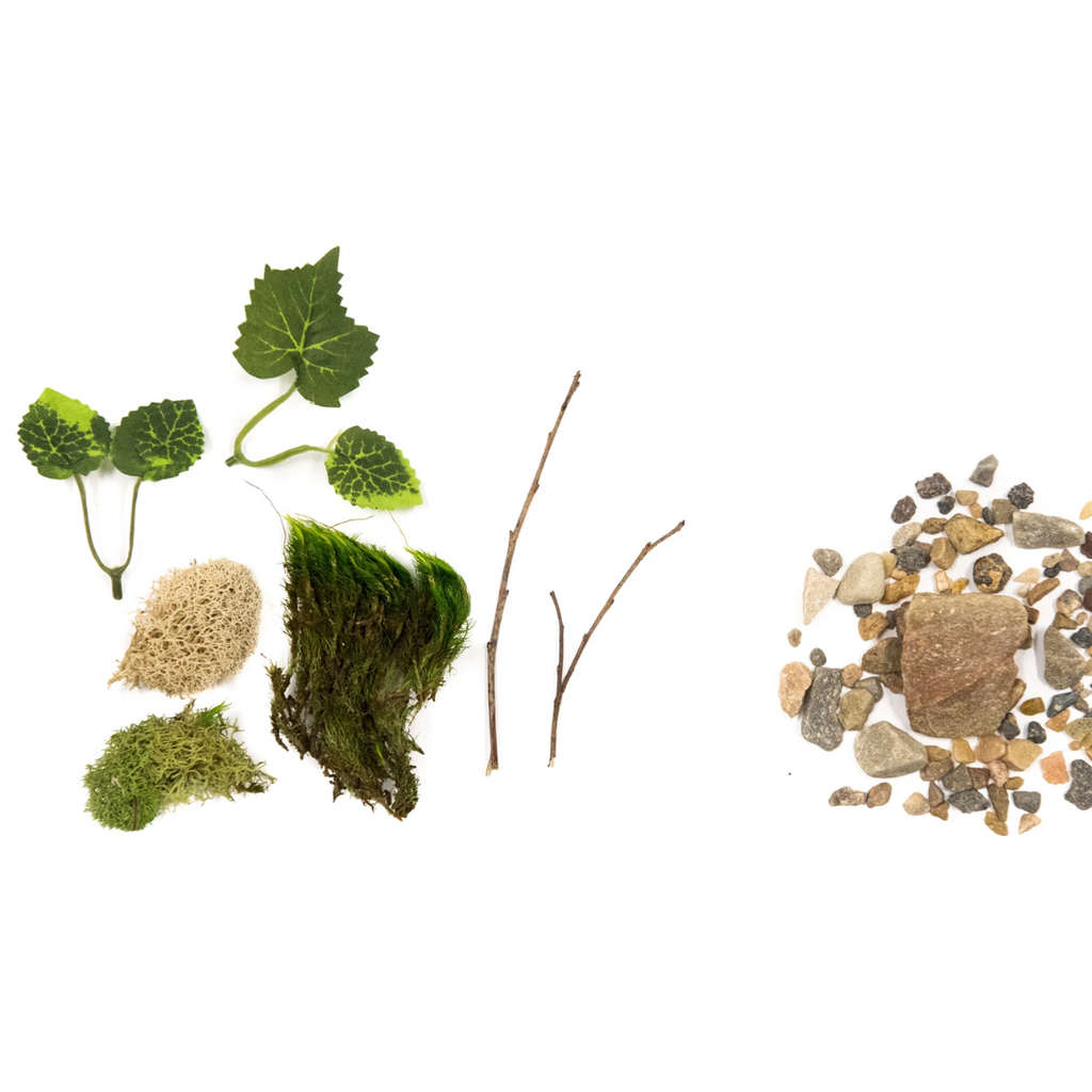 Biome Kits – AntsCanada