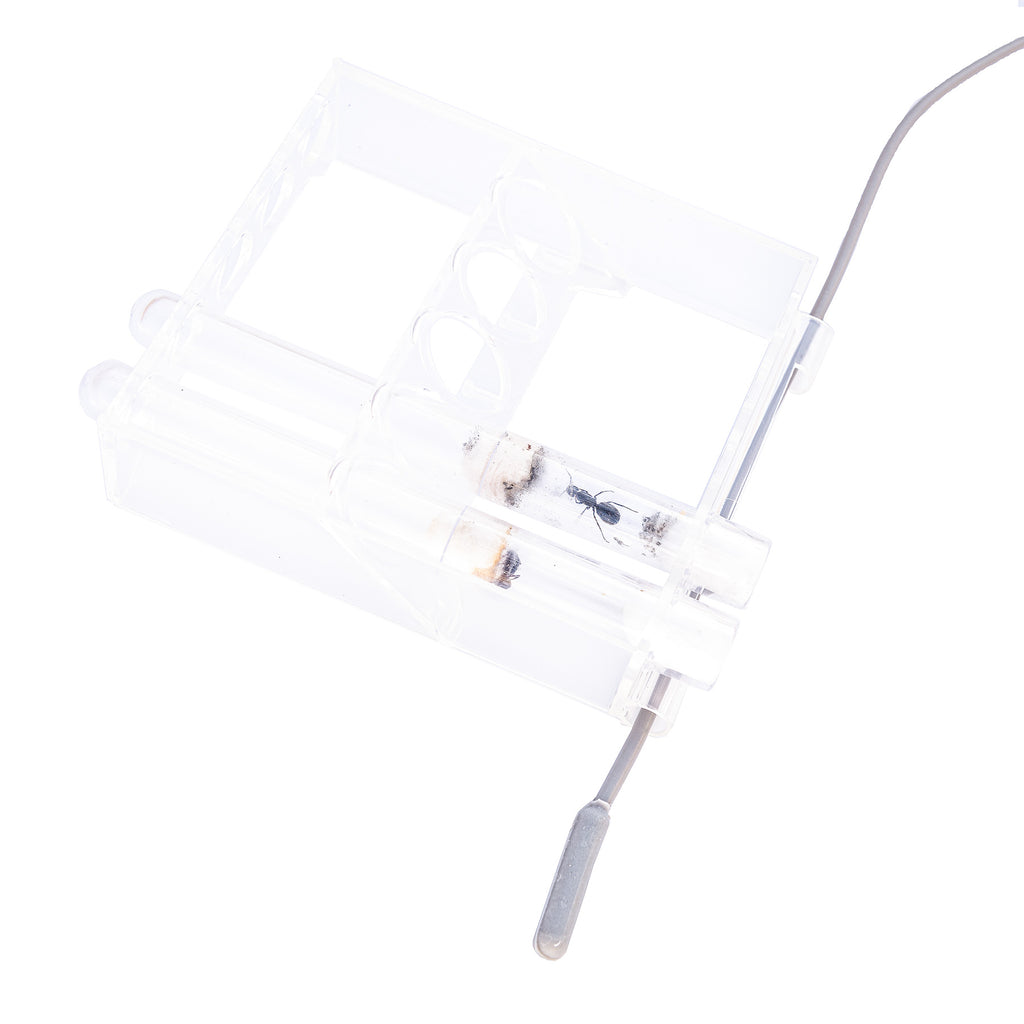 Basic AC Test Tube Pack™ – AntsCanada