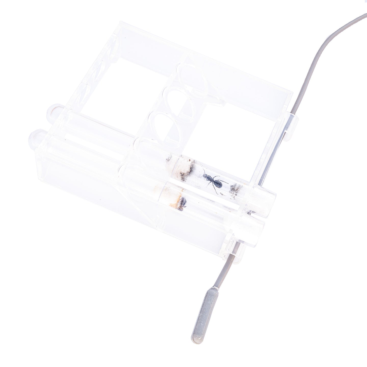 AC Plug Pack™ – AntsCanada