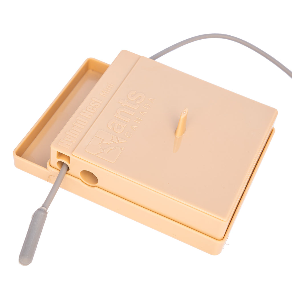 Basic AC Test Tube Pack™ – AntsCanada