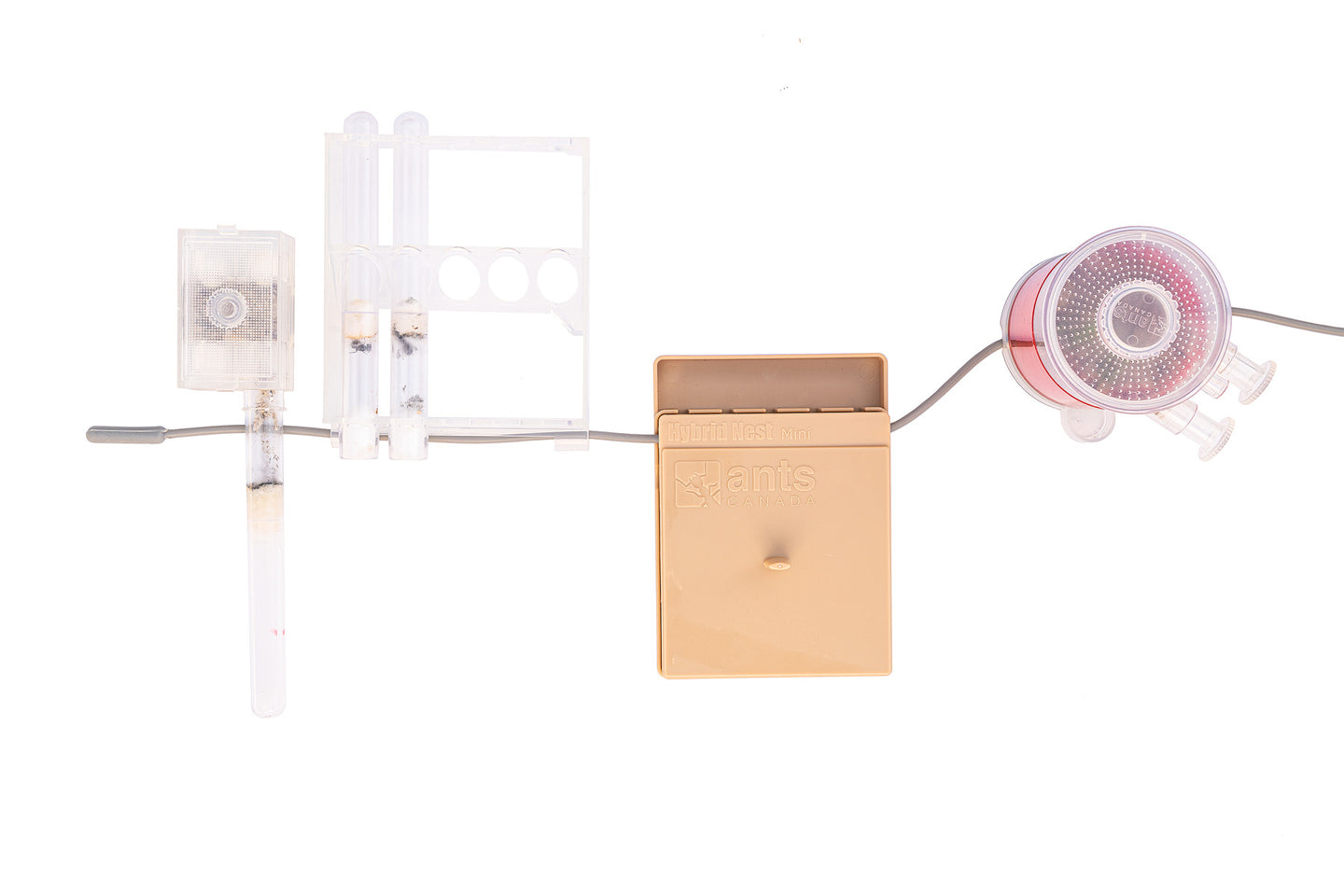 AC Plug Pack™ – AntsCanada