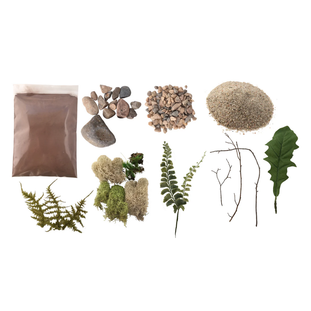 Field & Forest Biome Kit™ – AntsCanada