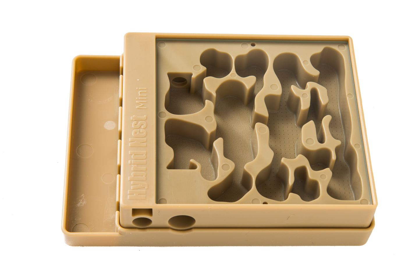 Ant Tower Small™ Deluxe – AntsCanada