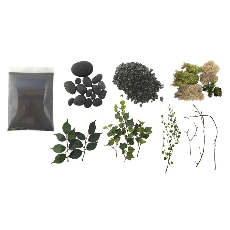 Rainforest Biome Kit™ – AntsCanada