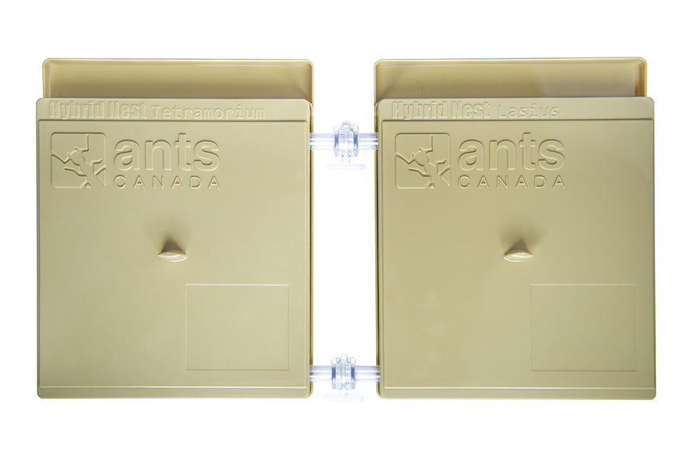 Valve Connector – Male/Male – AntsCanada