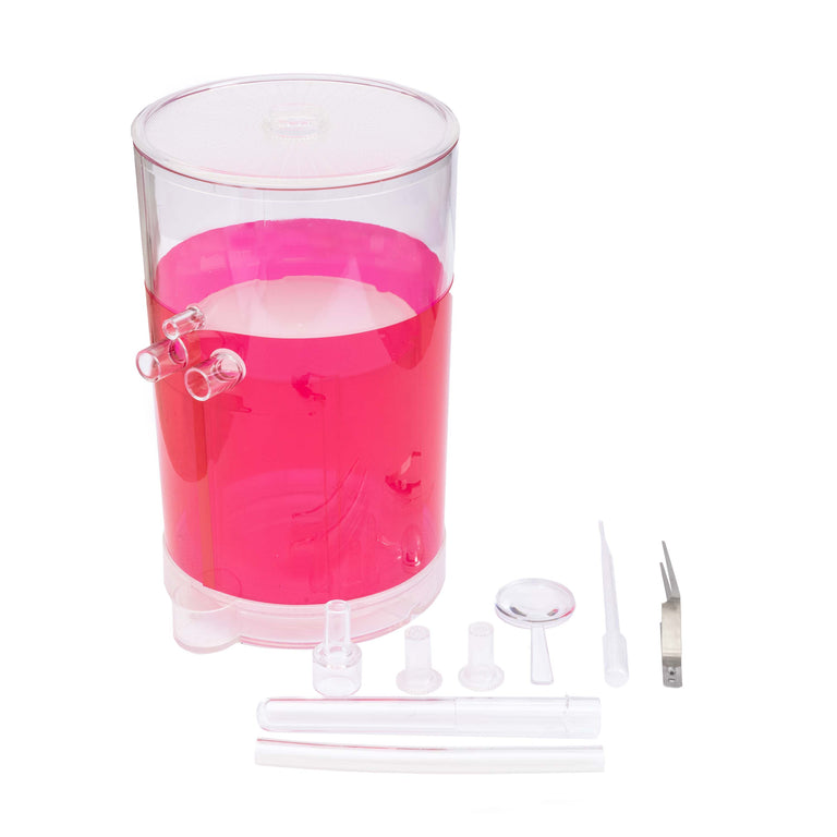 Ant Tower™ Large Deluxe – Ants Canada