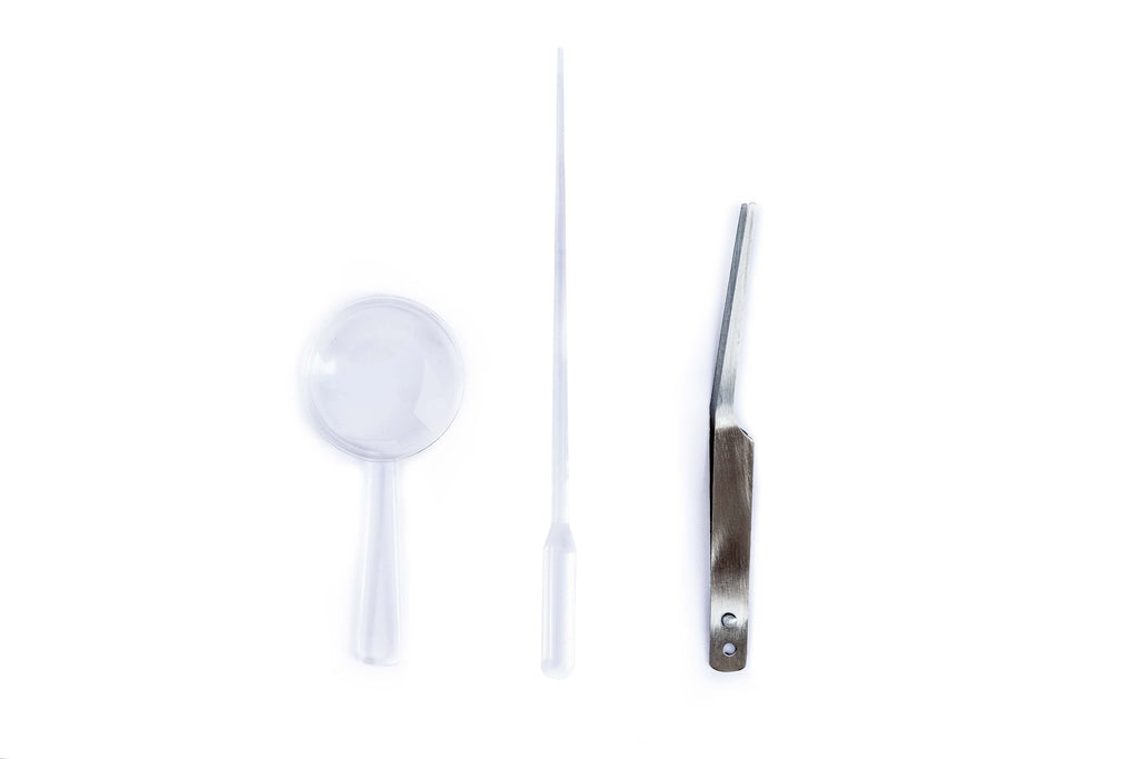 Ant Tower Deluxe (Kit Only) – Ants Canada