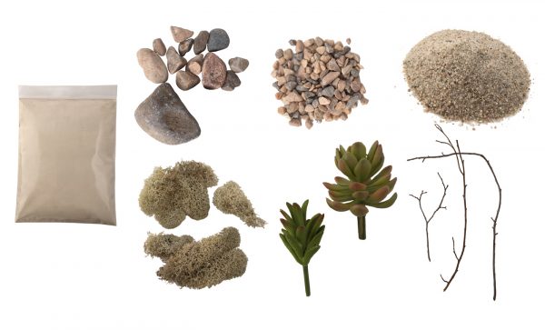 Biome Kits – Ants Canada