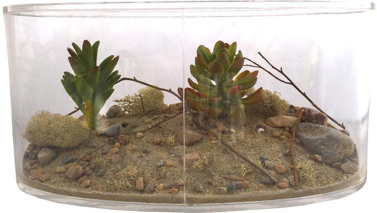 Biome Kits – Ants Canada