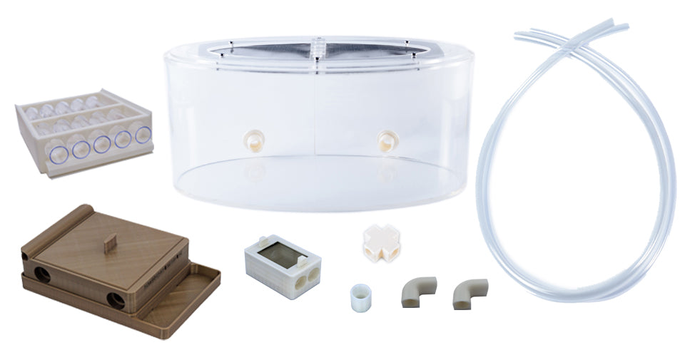 Starting Your Ant Colony – Ants Canada