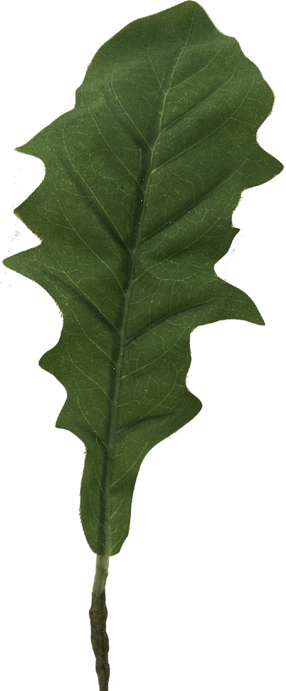 Biome Kits – Ants Canada