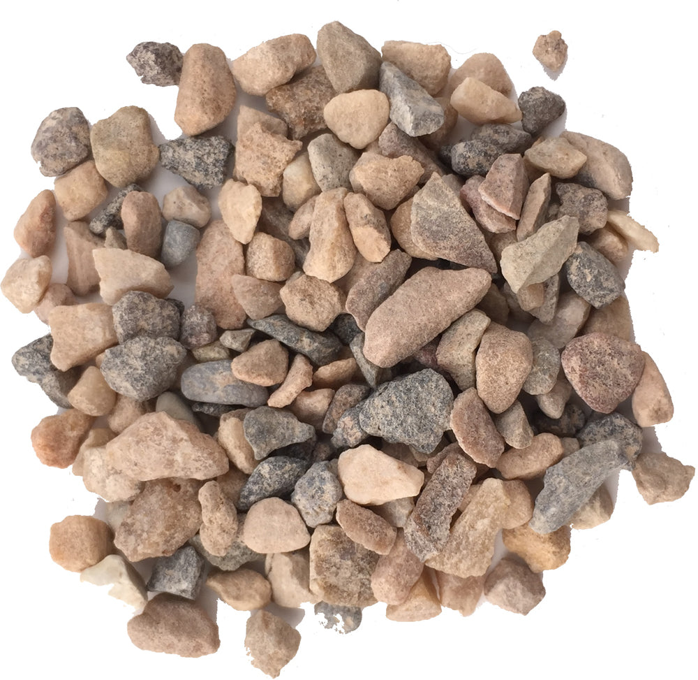 Field & Forest Biome Kit™ – AntsCanada