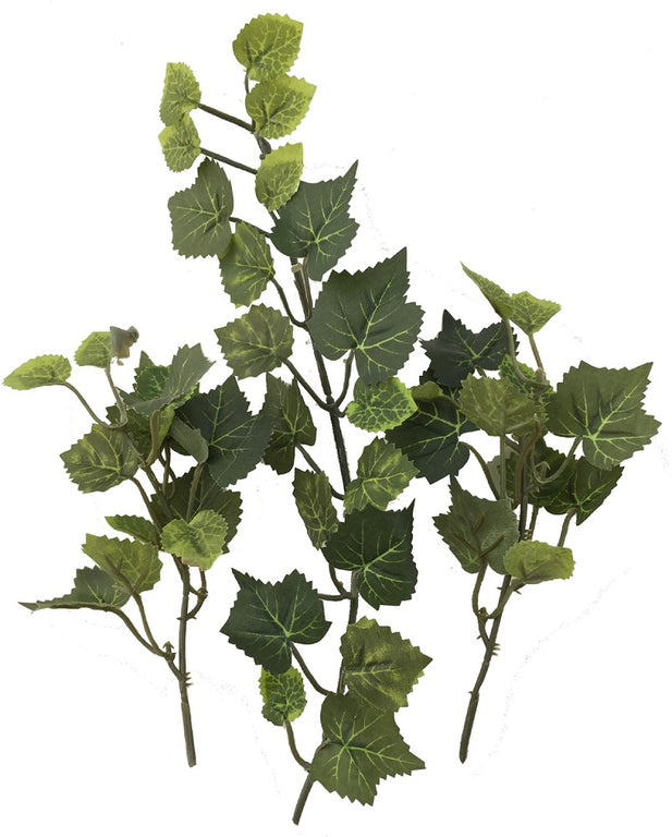 Biome Kits – AntsCanada