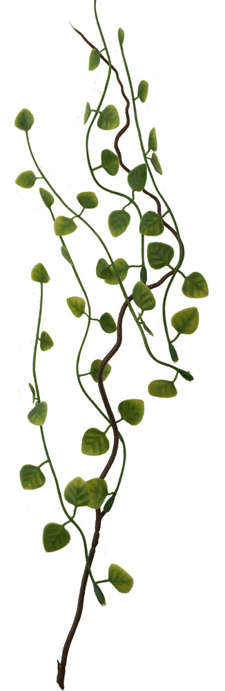 Biome Kits – AntsCanada