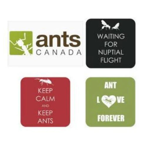 Merchandise – AntsCanada